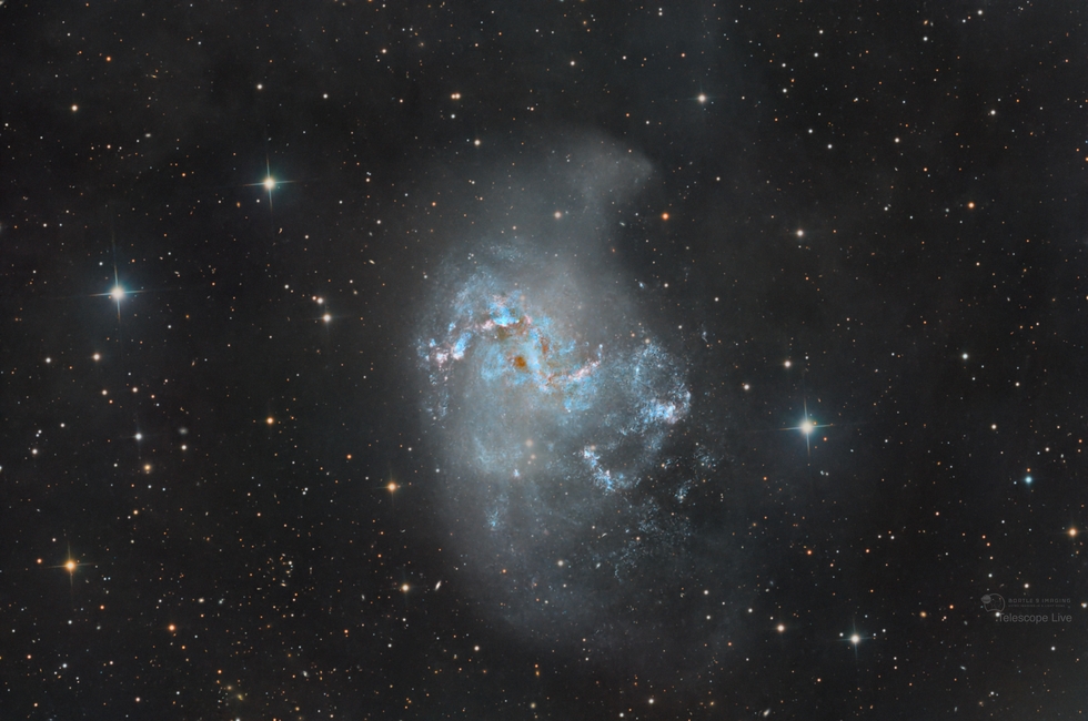 NGC 1313 | Telescope Live